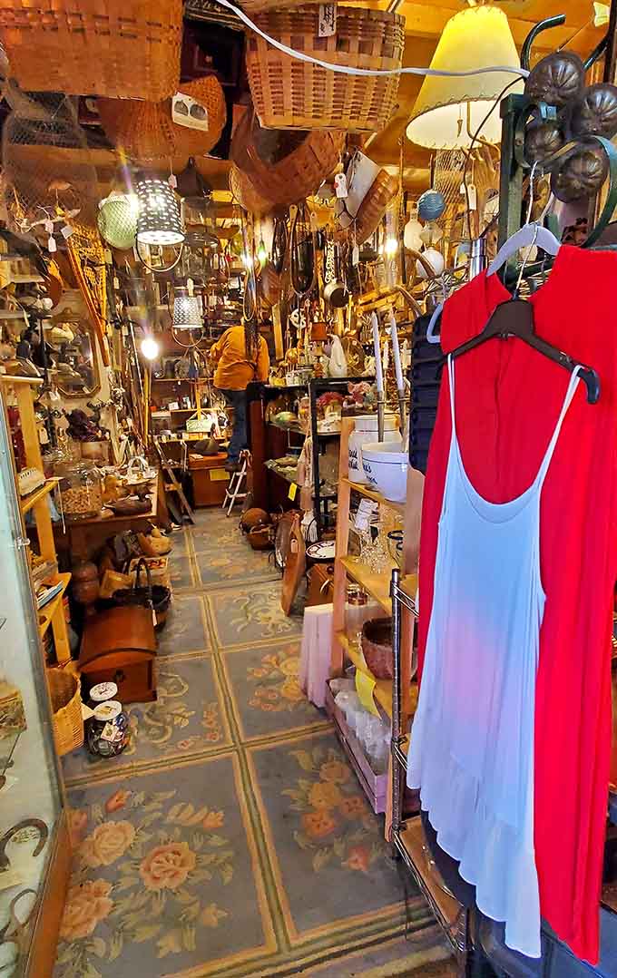 Another angle reveals even more treasures competing for your attention, because apparently one lifetime isn't enough to appreciate everything here.