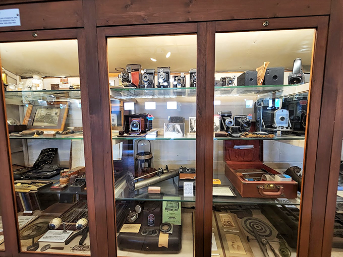 Say cheese to history! These vintage cameras have captured countless memories, and now they're making some of their own.