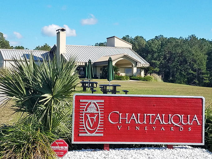Chautauqua Vineyards proves Florida isn't just for oranges &ndash; those grapes are living their best sunshine-filled life.