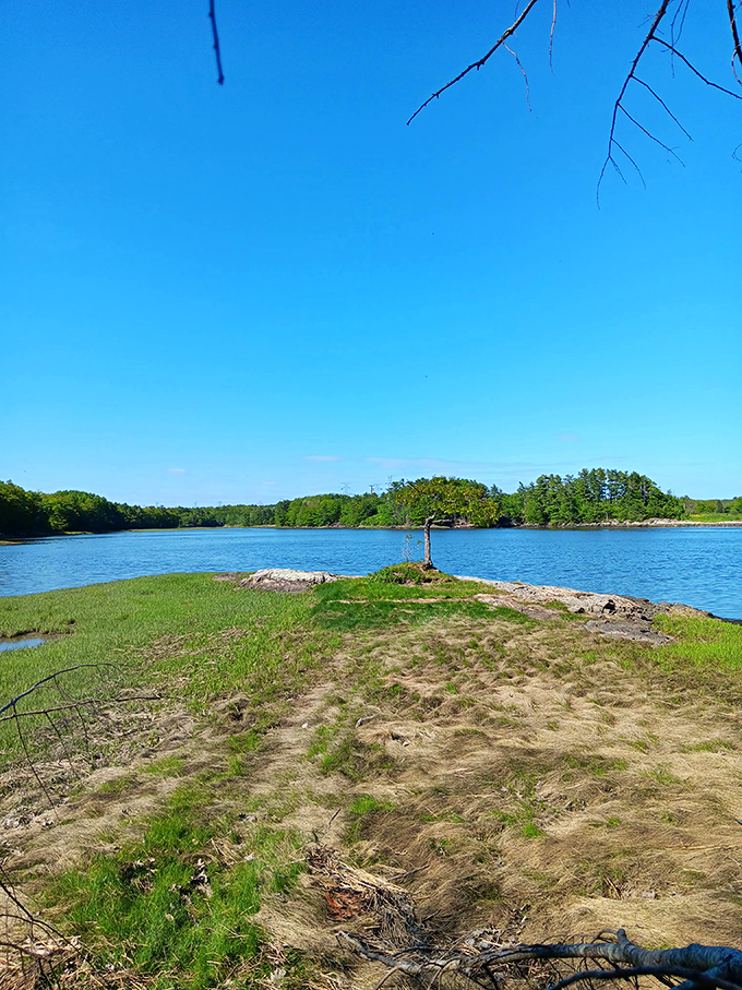 This serene peninsula jutting into the Sheepscot River offers a moment of quiet reflection &ndash; nature's antidote to modern stress.