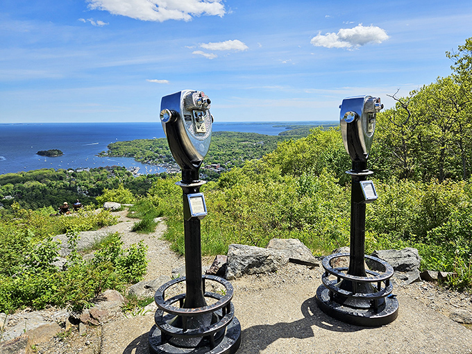 These vintage binoculars have witnessed countless gasps of delight &ndash; the original zoom lens for generations of awestruck visitors.