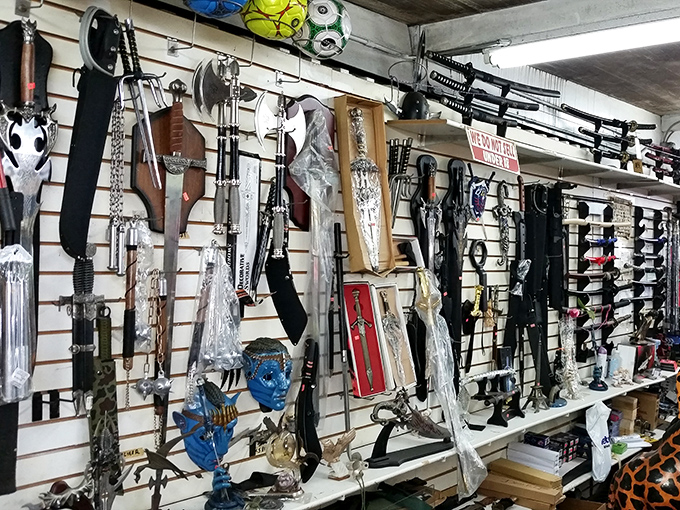 A wall of steel and imagination, where fantasy, function, and fascination comfortably coexist.