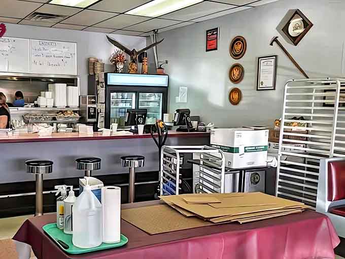 The heart of Sabina's operation: where orders are called, regulars are greeted by name, and Polish culinary magic happens daily.