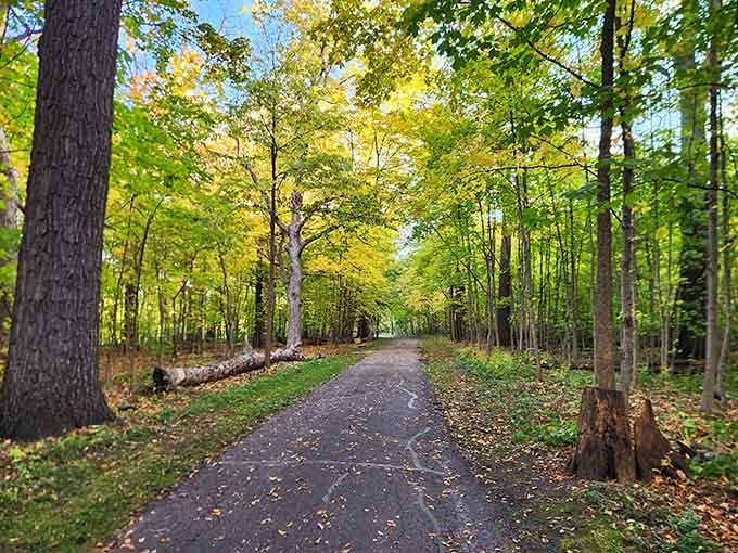 Wooded walking trails offer that peaceful escape where the only sounds are birds, rustling leaves, and your own thoughts.
