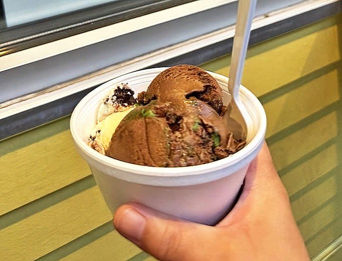 Deer Traxx and Fudge Mint Brownie: Two scoops of Michigan magic. The chocolate-to-ice-cream ratio achieves that mythical perfect balance only wizards of frozen treats understand.