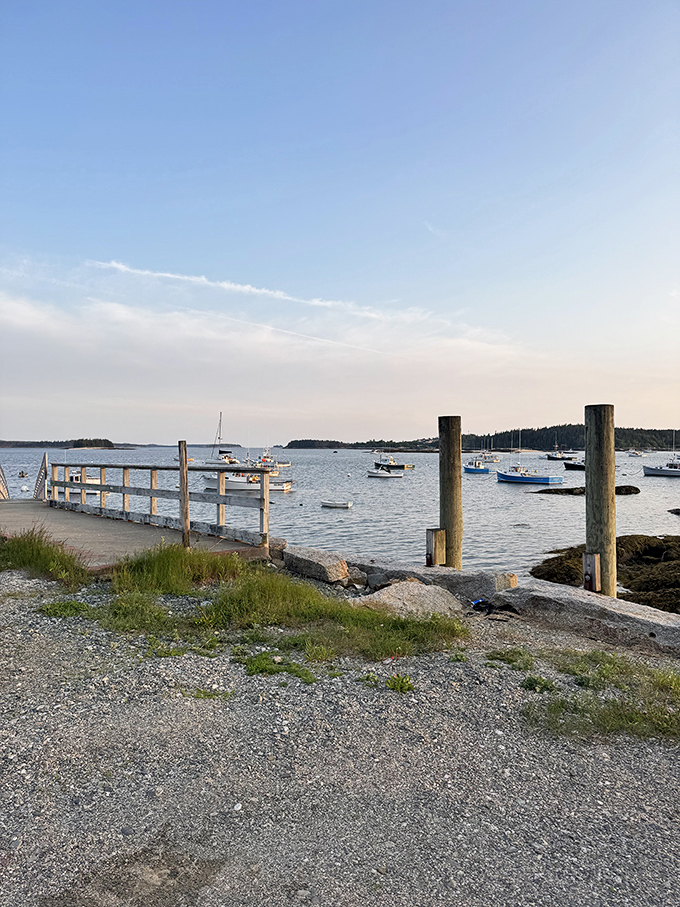 Stonington's harbor view – where your dinner likely arrived just hours before. Fishing boats bob gently, promising tomorrow's fresh catch.