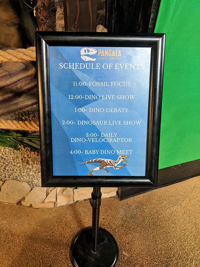 Never miss a prehistoric performance! The daily event schedule ensures visitors catch special presentations from Fossil Focus to Baby Dino Meet.