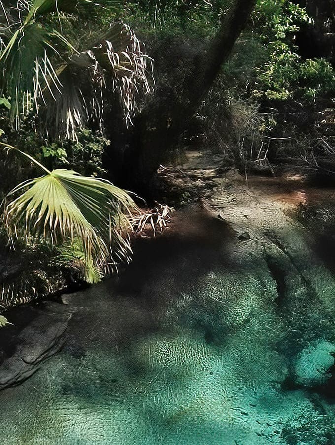 Dappled sunlight penetrates the canopy, creating shifting patterns on the spring's surface that change with every passing cloud.