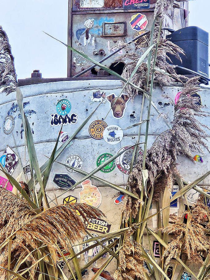 Nature slowly reclaims territory around the cabinet's base, grasses and wildflowers providing a soft contrast to industrial metal.