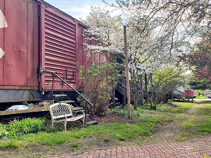 Spring blossoms frame this vintage train car, creating a perfect harmony between nature's renewal and preserved industrial heritage.