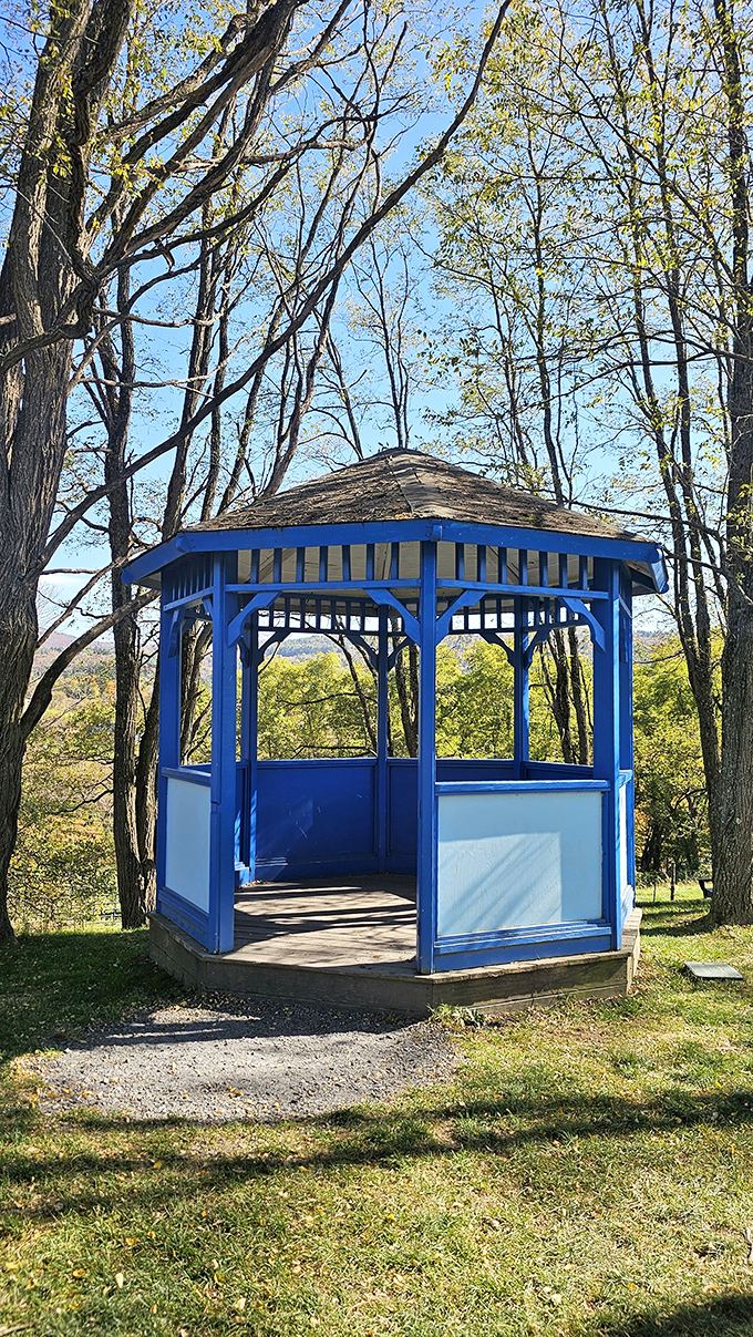 A bright blue gazebo stands sentinel near the Flavor Graveyard. It's a peaceful spot to reflect on the ephemeral nature of innovative ice cream combinations.