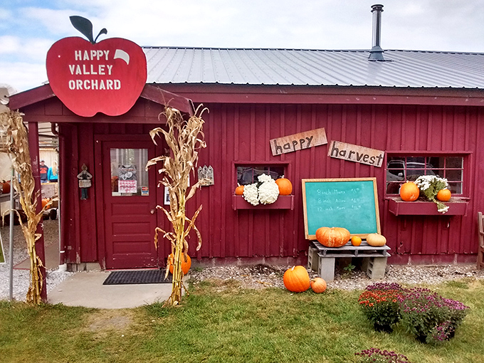 "Happy Harvest" indeed – the orchard's festive fall decorations create a welcoming atmosphere that makes everyone feel like family.