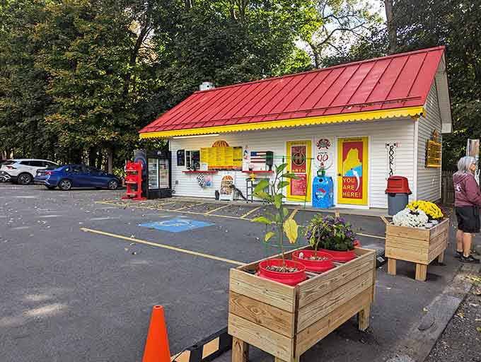 The outdoor setting captures everything wonderful about summer in Maine: sunshine, fresh air, and seafood that tastes like the ocean itself.