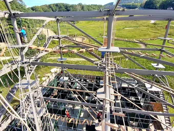 The multi-level challenge course creates a three-dimensional playground where participants can choose their own adventure path.
