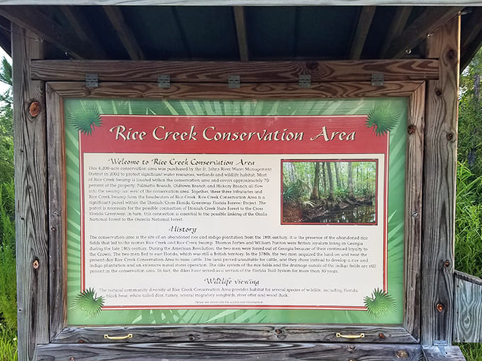 Informational displays share the area's history and ecology, turning every visit into an educational experience that doesn't feel like homework.