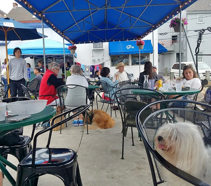 Outdoor seating where even the dogs know they've found the best spot in Portland for a summer afternoon.
