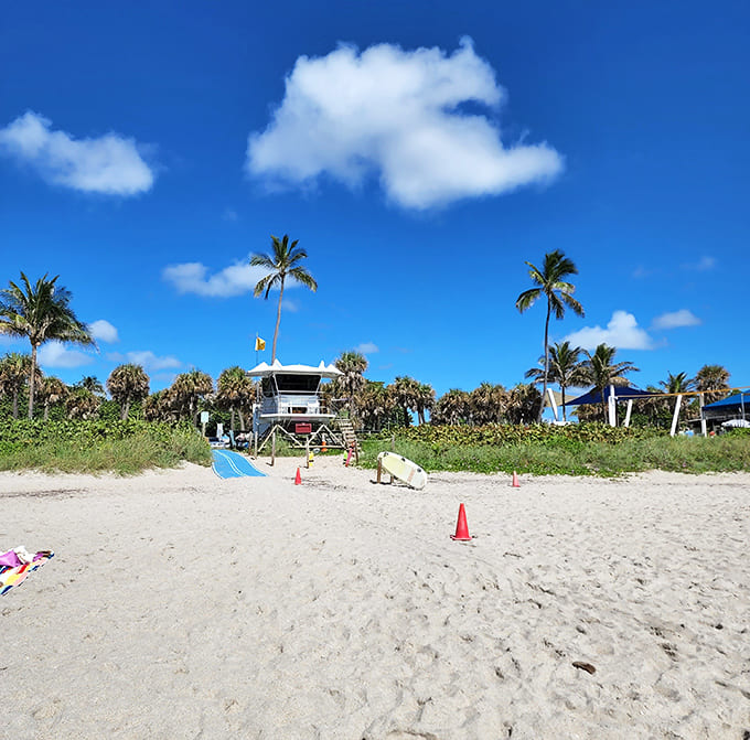 Lifeguard station standing sentinel over pristine sands. Where safety meets scenery in a perfect beach day backdrop.