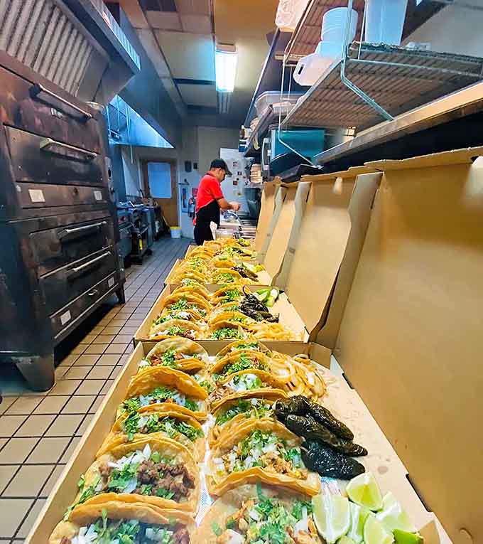 Behind the scenes, the kitchen operates like a well-oiled machine, churning out tacos with the efficiency of a factory and the care of grandma.