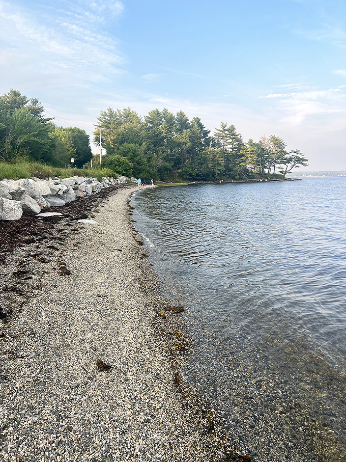 Newbury Neck's shoreline invites contemplative walks where the rhythm of gentle waves soothes the soul.
