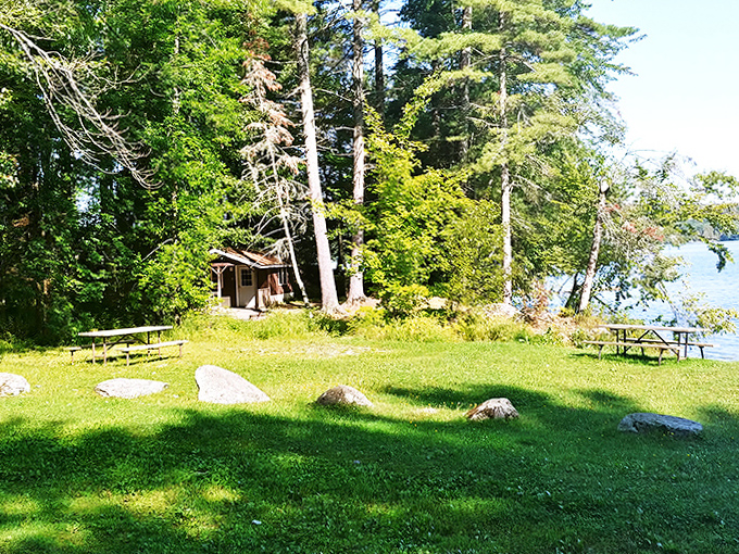 Lakeside lounging at its finest – where picnic tables come with million-dollar views no restaurant could match.