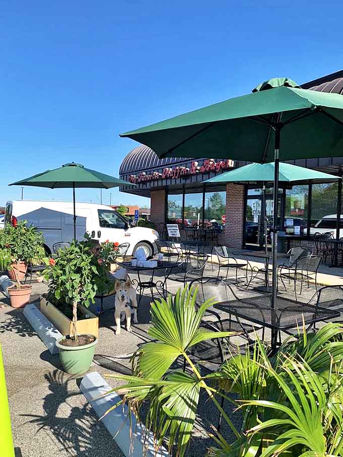 The outdoor patio, where green umbrellas and potted plants create an oasis for enjoying your favorite treats al fresco.
