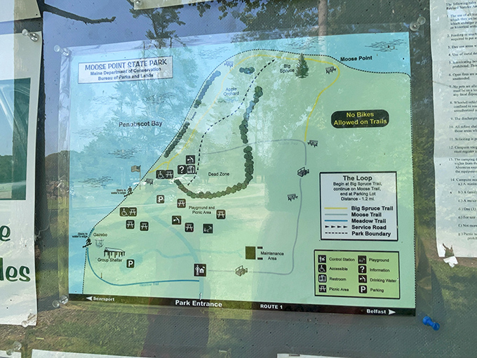 The park map reveals a thoughtfully designed network of trails that showcase diverse ecosystems within a relatively compact area.