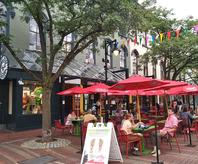 Downtown Burlington's energy flows through Pascolo's outdoor dining area, where people-watching enhances every bite taken.