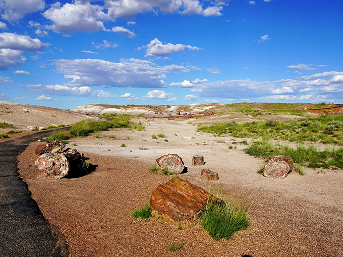 One small step for man, one giant leap through time. This path leads you through millions of years of Earth's history.