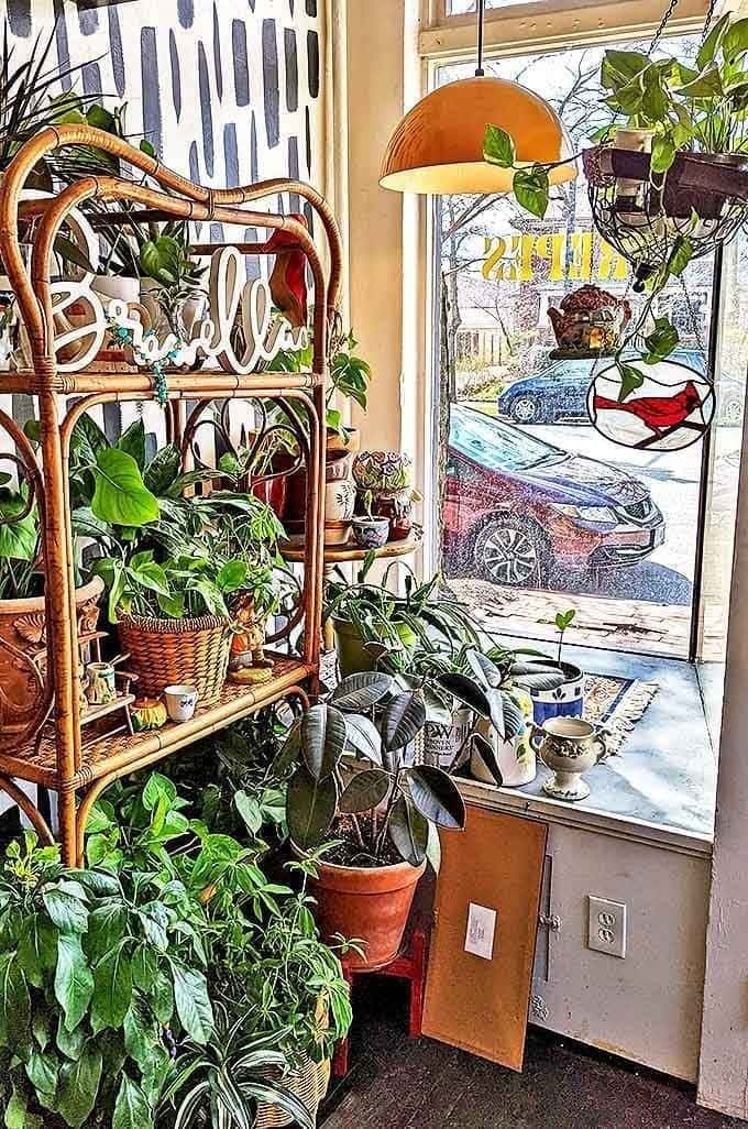 Plants and vintage finds create a welcoming entryway that makes you feel like you're visiting a friend's incredibly stylish home.