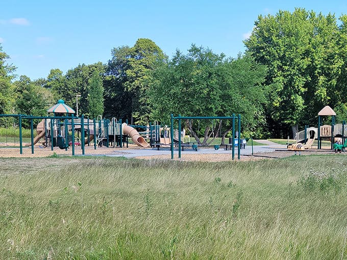 The playground equipment proves that Schaar's Bluff welcomes all ages, giving kids their own adventures while adults soak in those views.