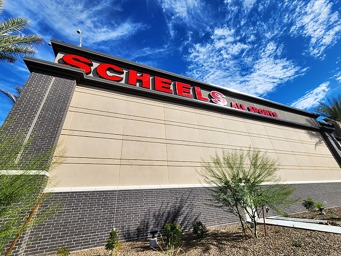 The bold red Scheels signage against Arizona's brilliant blue sky creates a landmark visible from across Chandler.