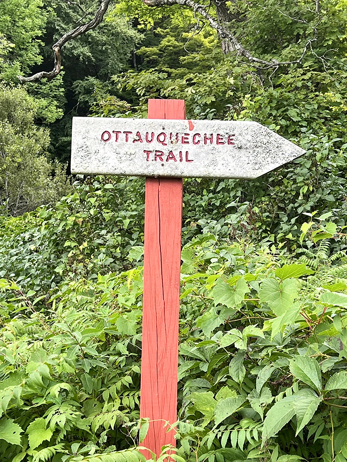 The trail sign stands as a humble sentinel, its weathered face pointing the way to adventures that can't be found on any digital map.