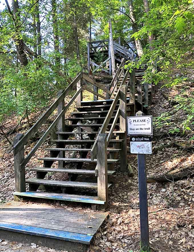 These wooden steps climbing through dense forest might leave you breathless, but the views at the top restore it instantly.