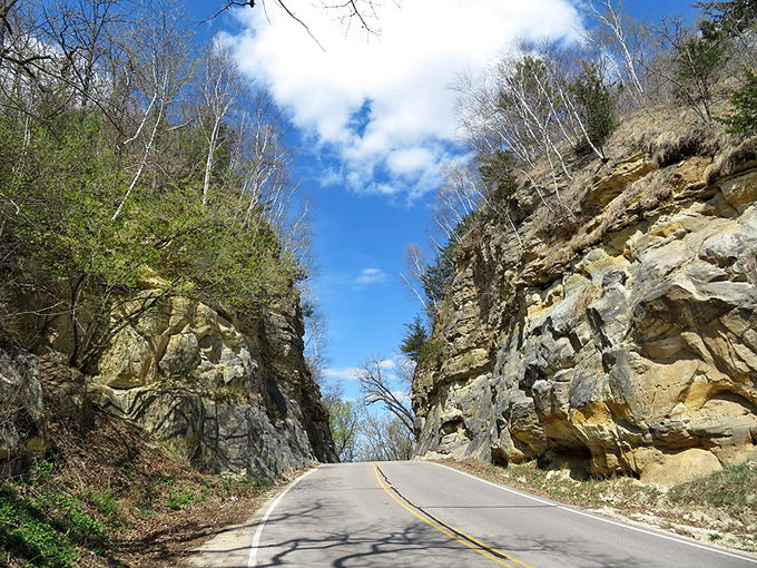 Nature reclaims: Trees and vegetation find footholds in the rock face, adding living beauty to this human-made cut.