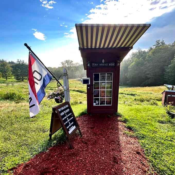 The storefront sits ready to welcome donut pilgrims, looking like a tiny temple dedicated to the worship of excellent baked goods.