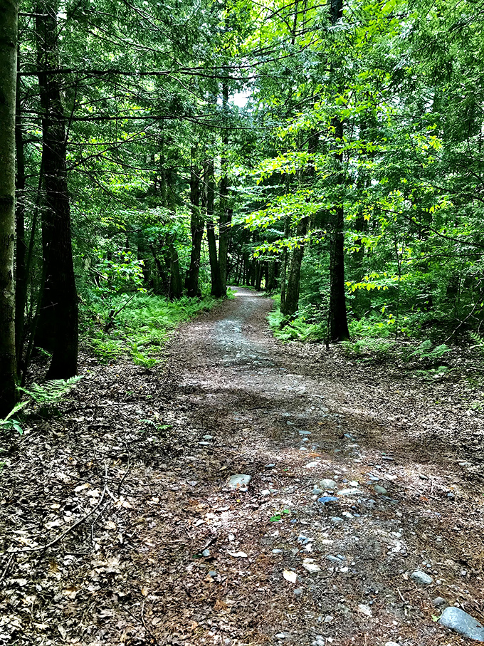 This isn't just a trail &ndash; it's an invitation to discover what's around the bend. The forest keeps its secrets until you're ready.