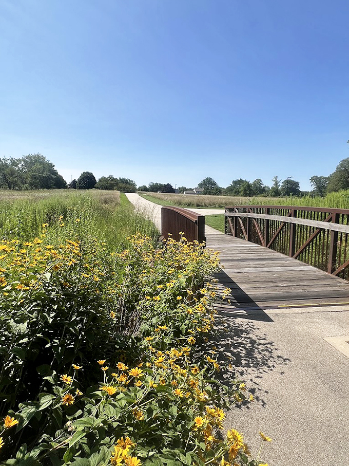 Yellow wildflowers line this winding path like nature's own yellow brick road, leading to artistic adventures ahead.