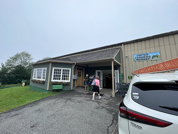 United Farmers Market brings together Maine's agricultural bounty under one roof, creating a food lover's paradise of local flavors.