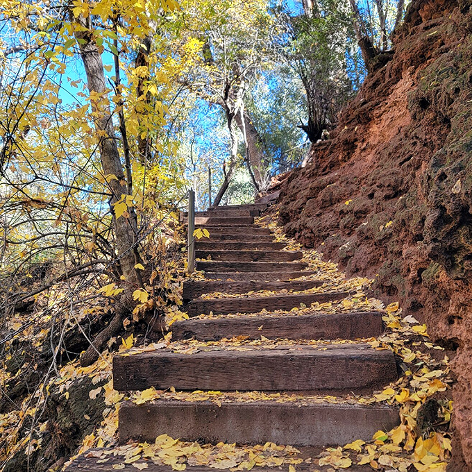 Autumn leaves dust wooden steps with golden confetti, nature's seasonal celebration adding ephemeral beauty to the enduring trail.