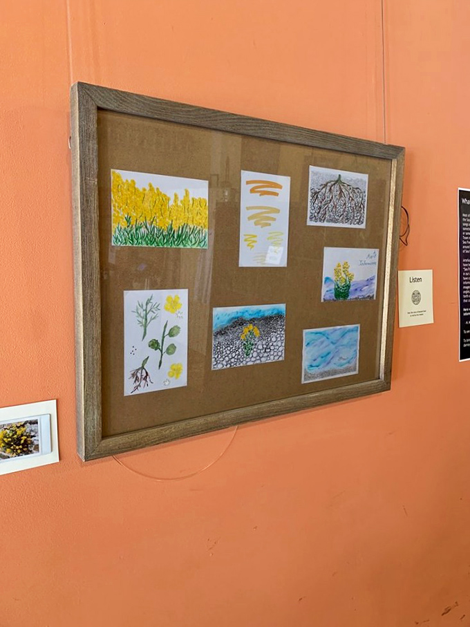 Local artwork adorns the walls, celebrating Maine's creative spirit while you savor every bite of bagel perfection.