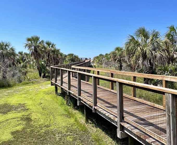Boardwalks guiding you through the landscape like nature's own highway system, minus the traffic jams.