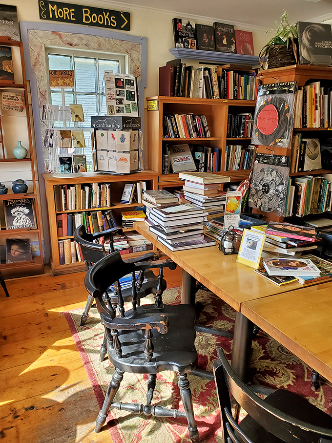 Sunlight dapples across wooden tables laden with books, creating the ideal spot for that magical moment when you find your next literary love.