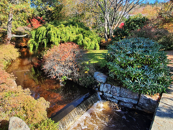 Water music: This gentle cascade provides the soundtrack to Asticou's natural symphony, turning ordinary rocks into instruments of tranquility.