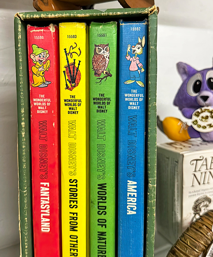 Walt Disney's worlds await between these vibrant spines. These vintage volumes hold more magic than you can shake a mouse ear at.