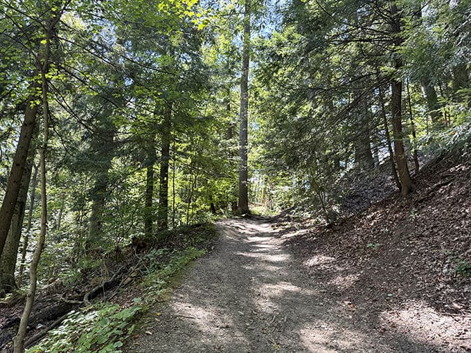 The trail beckons with promises of discovery, winding through dense forest where each turn might reveal wildlife or hidden scenic treasures.