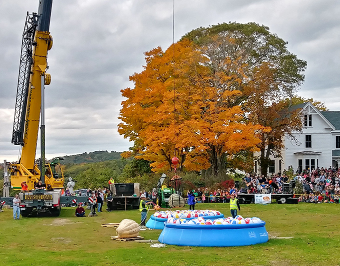 Pumpkin festival ingenuity: when you need somewhere soft for flying gourds to land, kiddie pools filled with colorful balls do the trick!