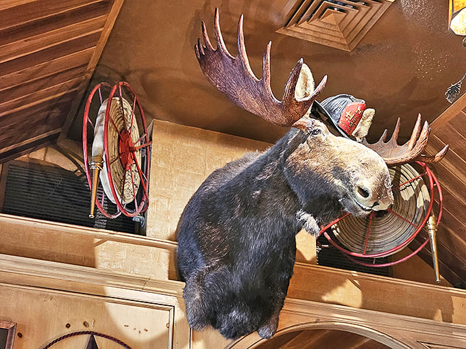 Watchful wilderness! This majestic moose keeps an eye on diners, silently approving your decision to order dessert after that massive meal.