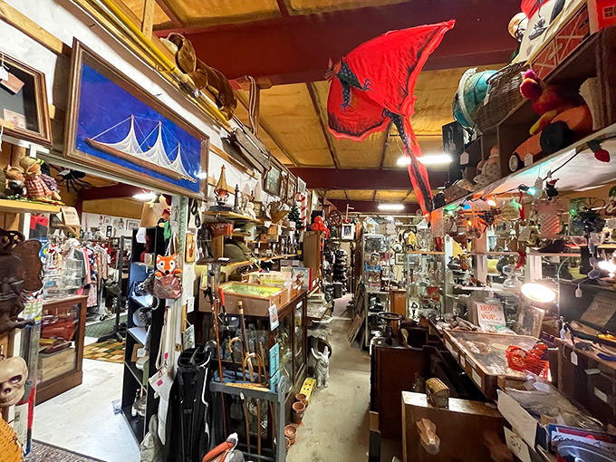 Welcome to the Island of Misfit Treasures! From kites to skulls, this aisle is where eclectic goes to party.