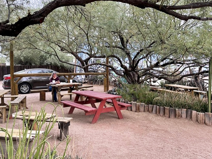 Desert dining at its finest &ndash; rustic picnic tables nestled under mesquite trees create the perfect setting for enjoying Navajo tacos al fresco.