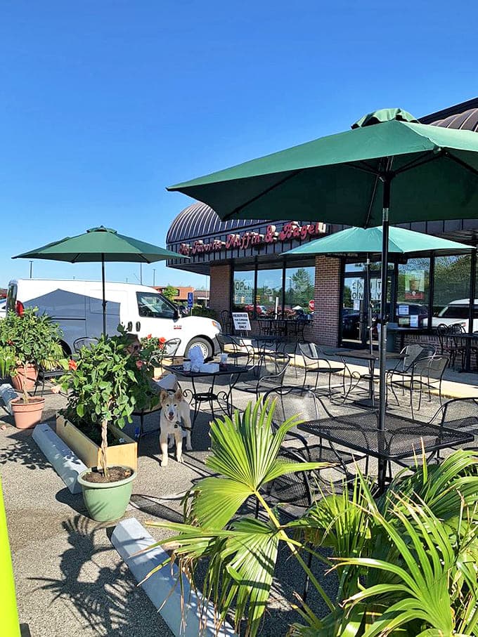 The outdoor patio offers a pleasant spot to savor your breakfast when Ohio weather cooperates, complete with green umbrellas.